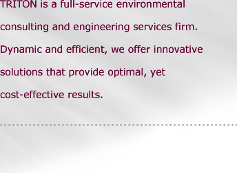 Triton Environmental, Inc., Environmental Consulting & Engineering
